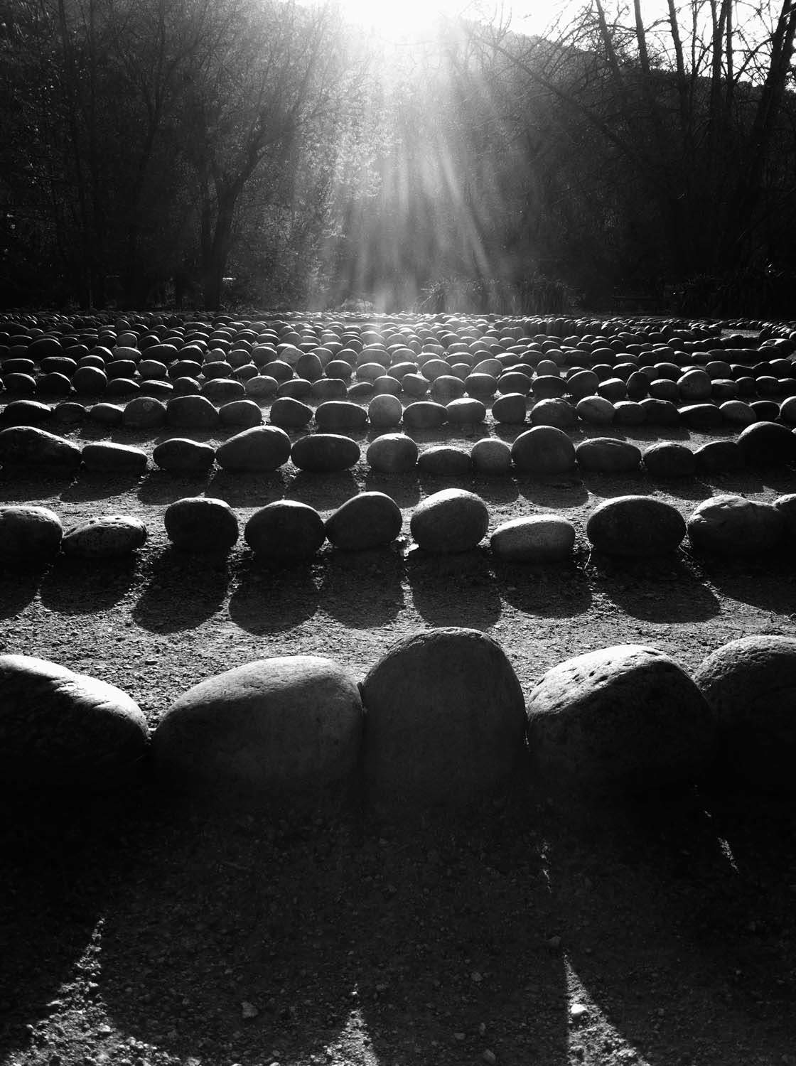 10 iPhone Photography Lessons You Can Learn From A Child