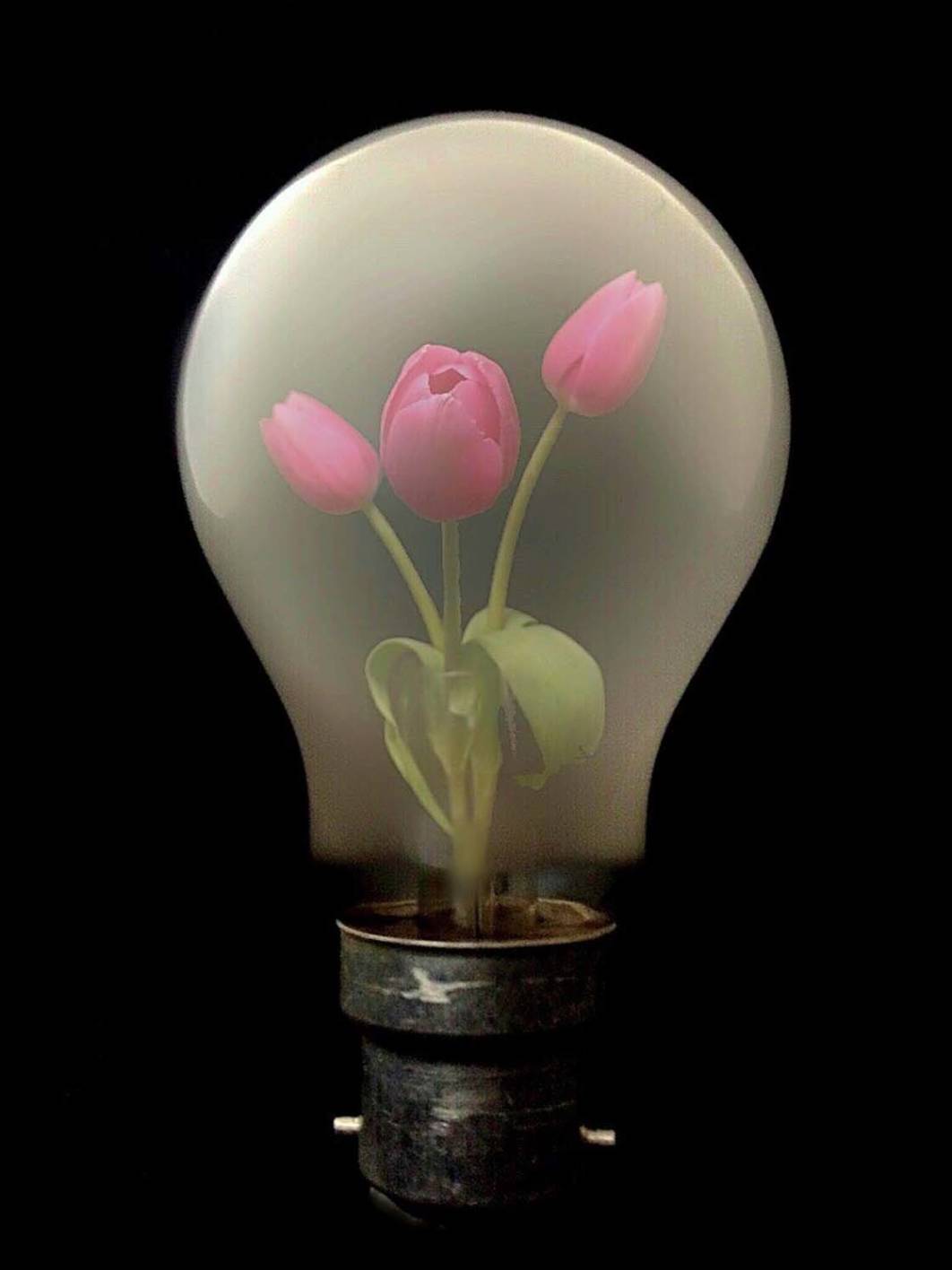 30 Incredible Double & Multiple Exposure iPhone Photos