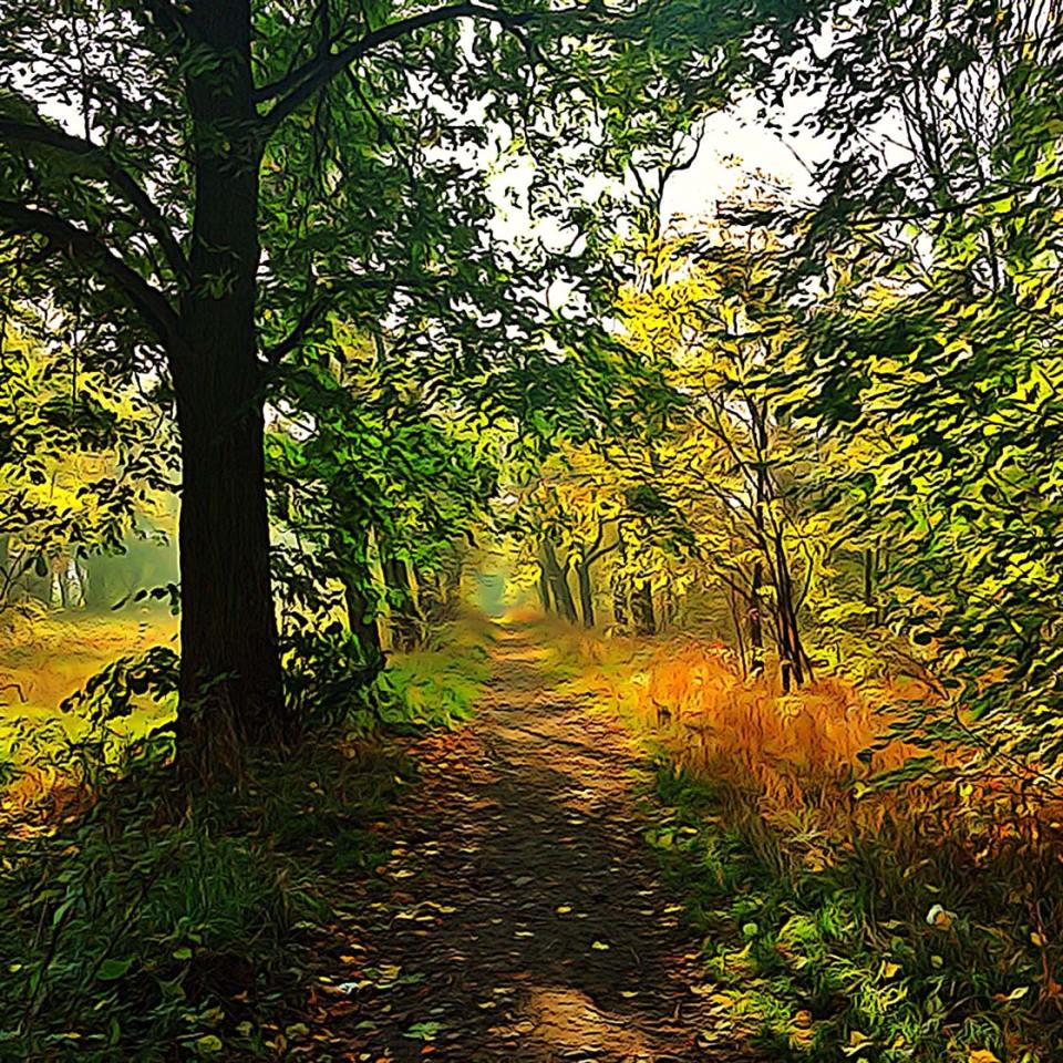 30 Beautiful Examples Of Painterly iPhone Photos