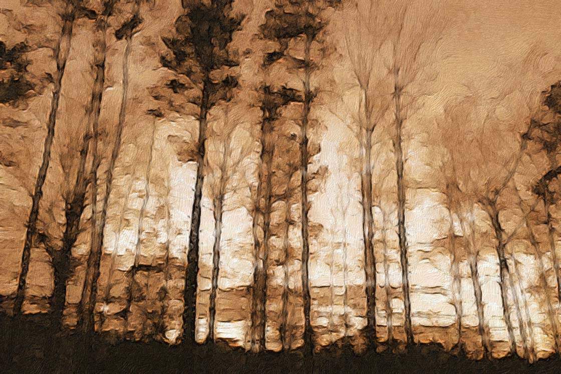 30 Beautiful Examples Of Painterly iPhone Photos