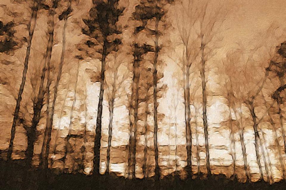 30 Beautiful Examples Of Painterly iPhone Photos