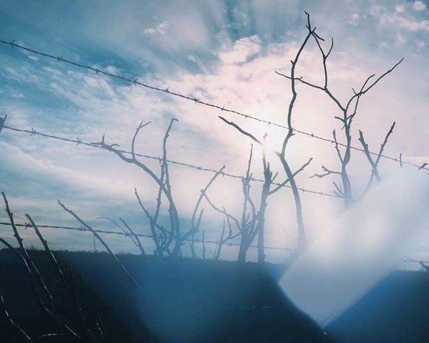 Lens Distortions App Creates Elegant iPhone Photo Filters