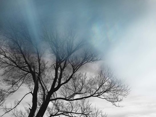 Lens Distortions App Creates Elegant iPhone Photo Filters