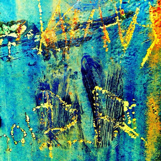 How A 365 Photo Project Will Improve Your iPhone Photos