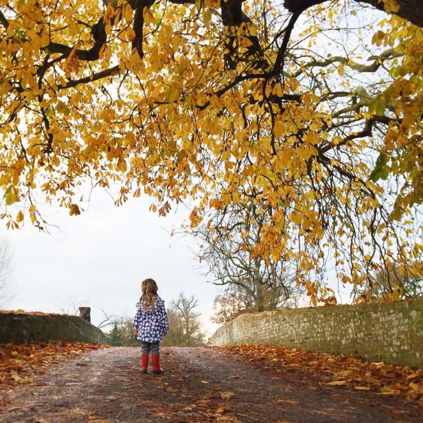 How Colin Roberts Takes Great iPhone Landscape Photos