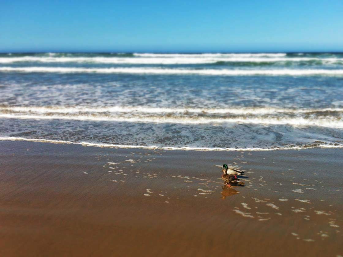 8 Tips For Taking Stunning iPhone Photos Of Water