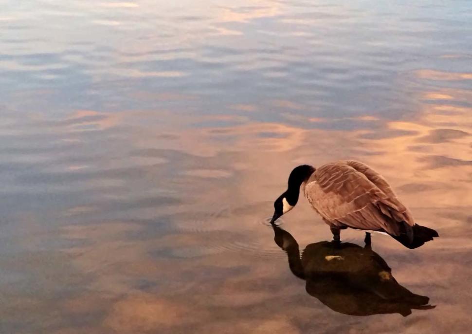 8 Tips For Taking Stunning iPhone Photos Of Water