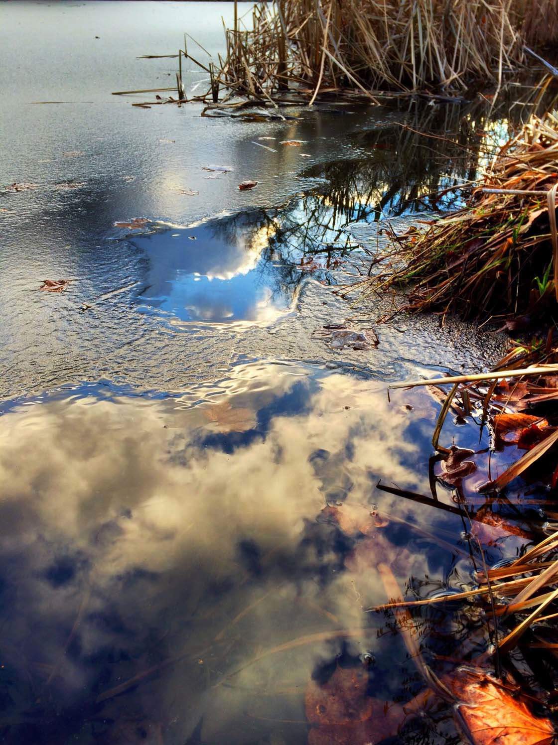30 Stunning iPhone Photos Of Water & Reflections