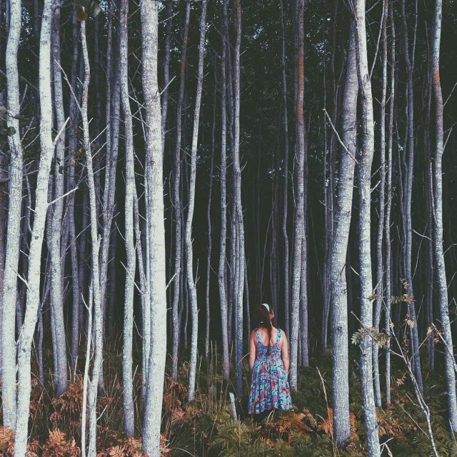 10 Tips For Taking Stunning Landscape Photos On iPhone