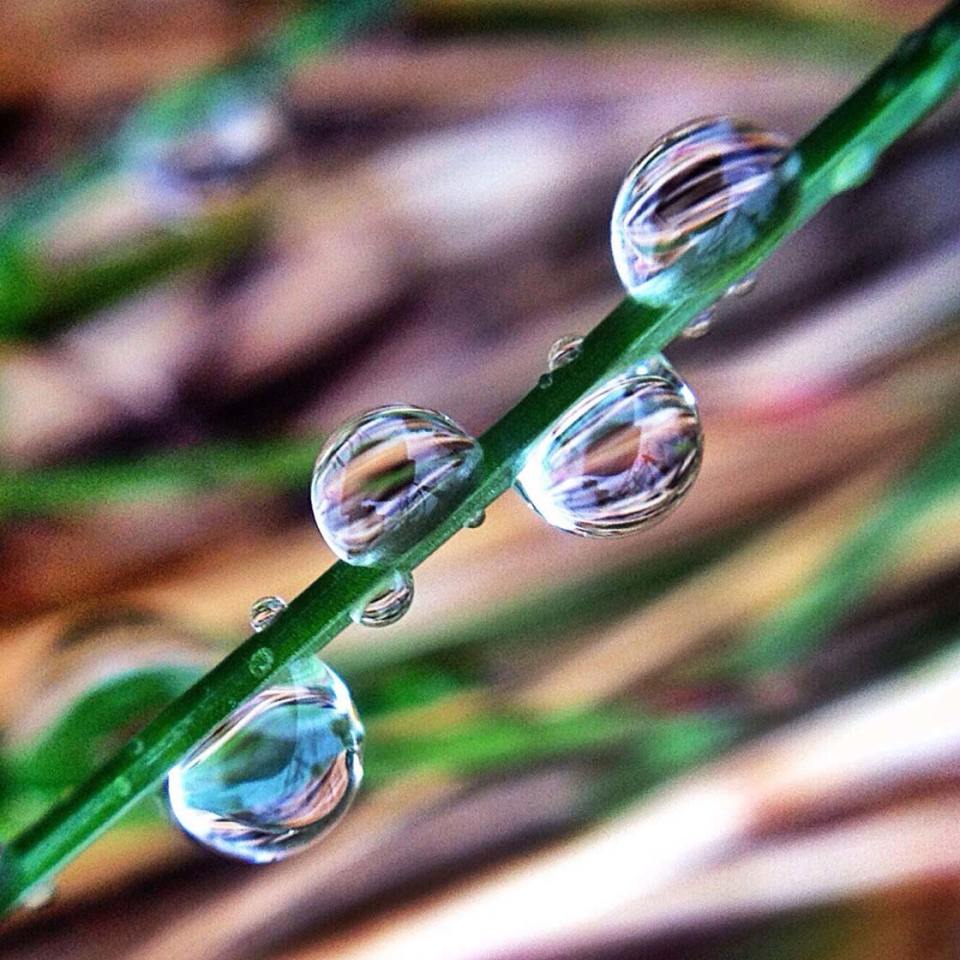 30 Stunning iPhone Photos Of Water & Reflections