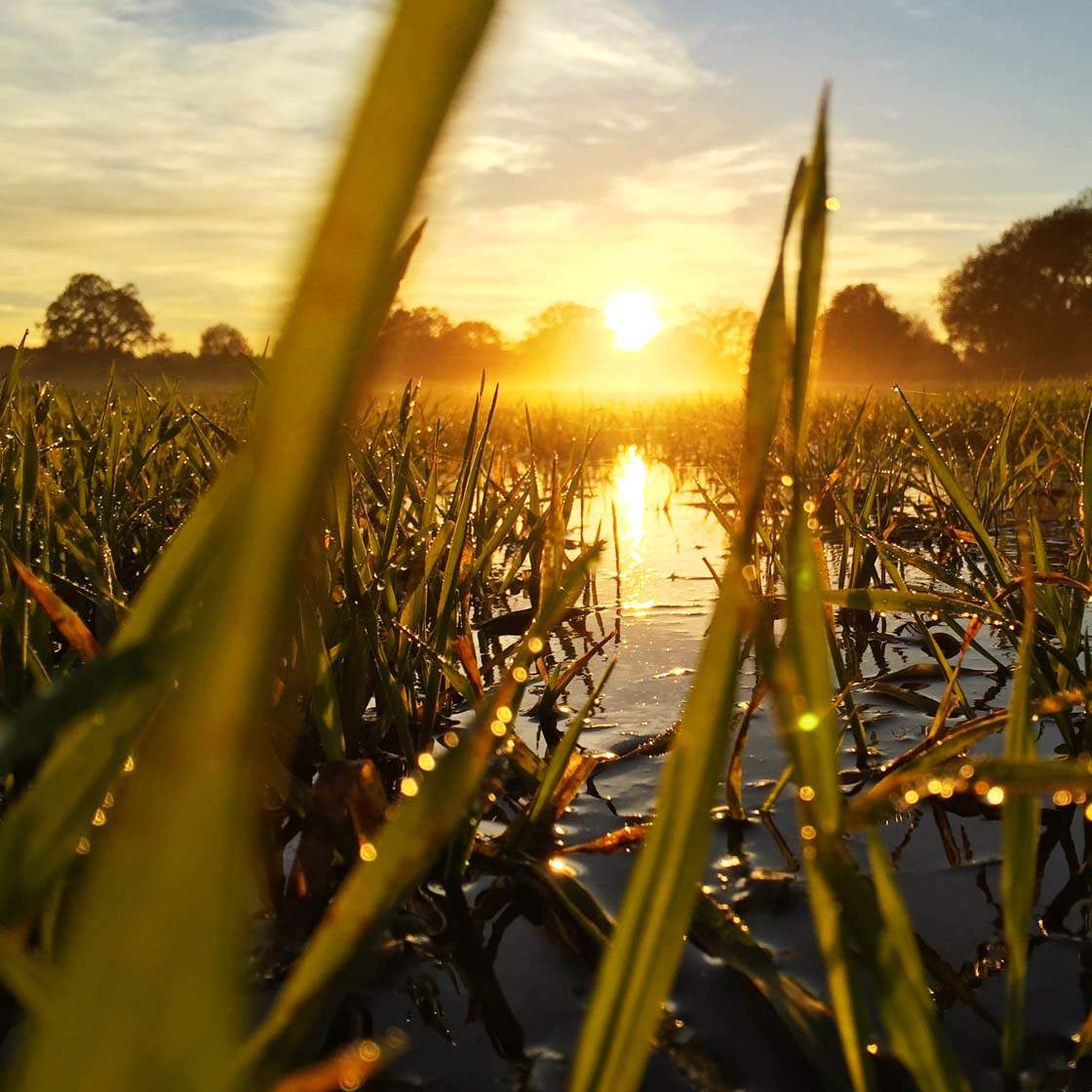 How Colin Roberts Takes Great iPhone Landscape Photos