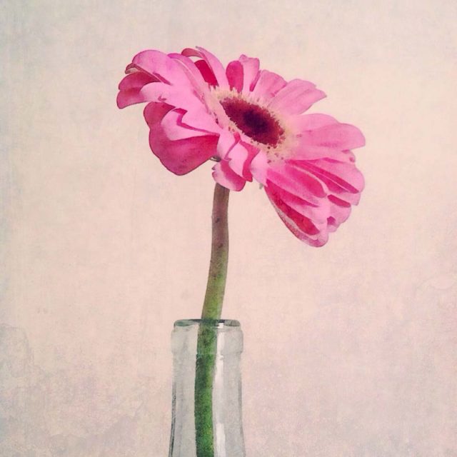 10 Instagram Tips for Getting Your iPhone Photos Noticed