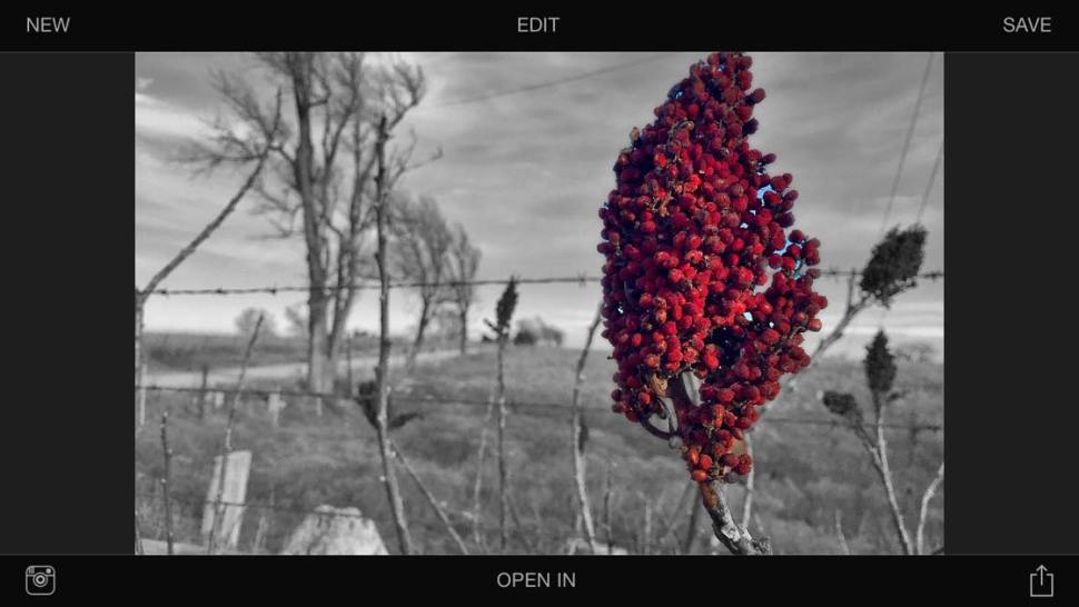 Apply Selective iPhone Photo Filters With Exposure App