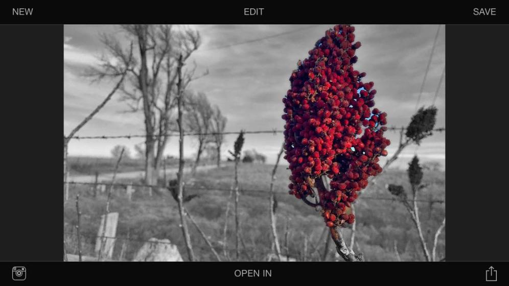 Apply Selective iPhone Photo Filters With Exposure App