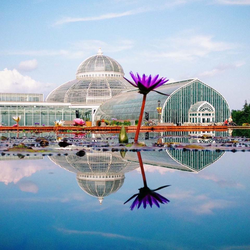 30 Great iPhone Photos Taken From Interesting Angles