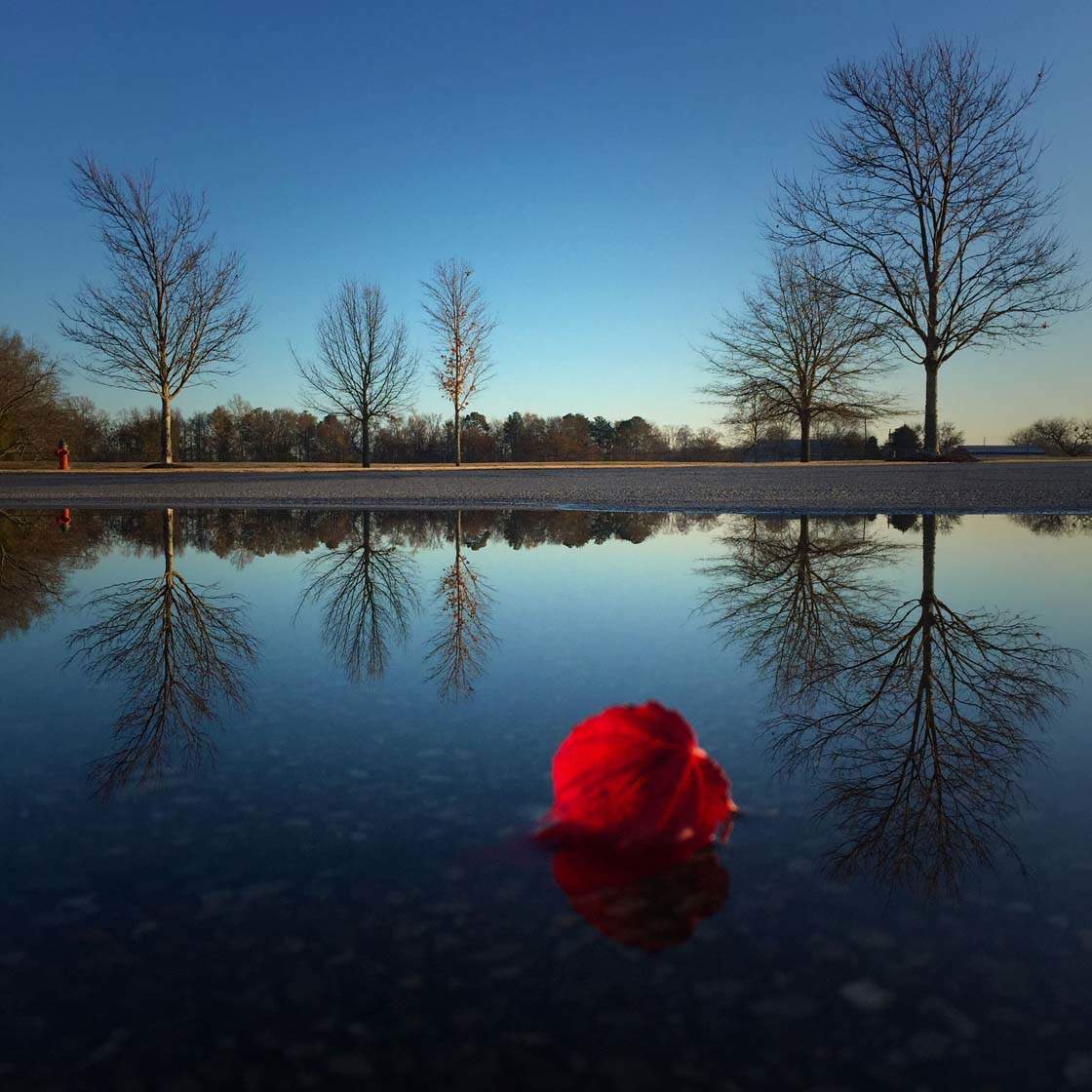 30 Great iPhone Photos Taken From Interesting Angles