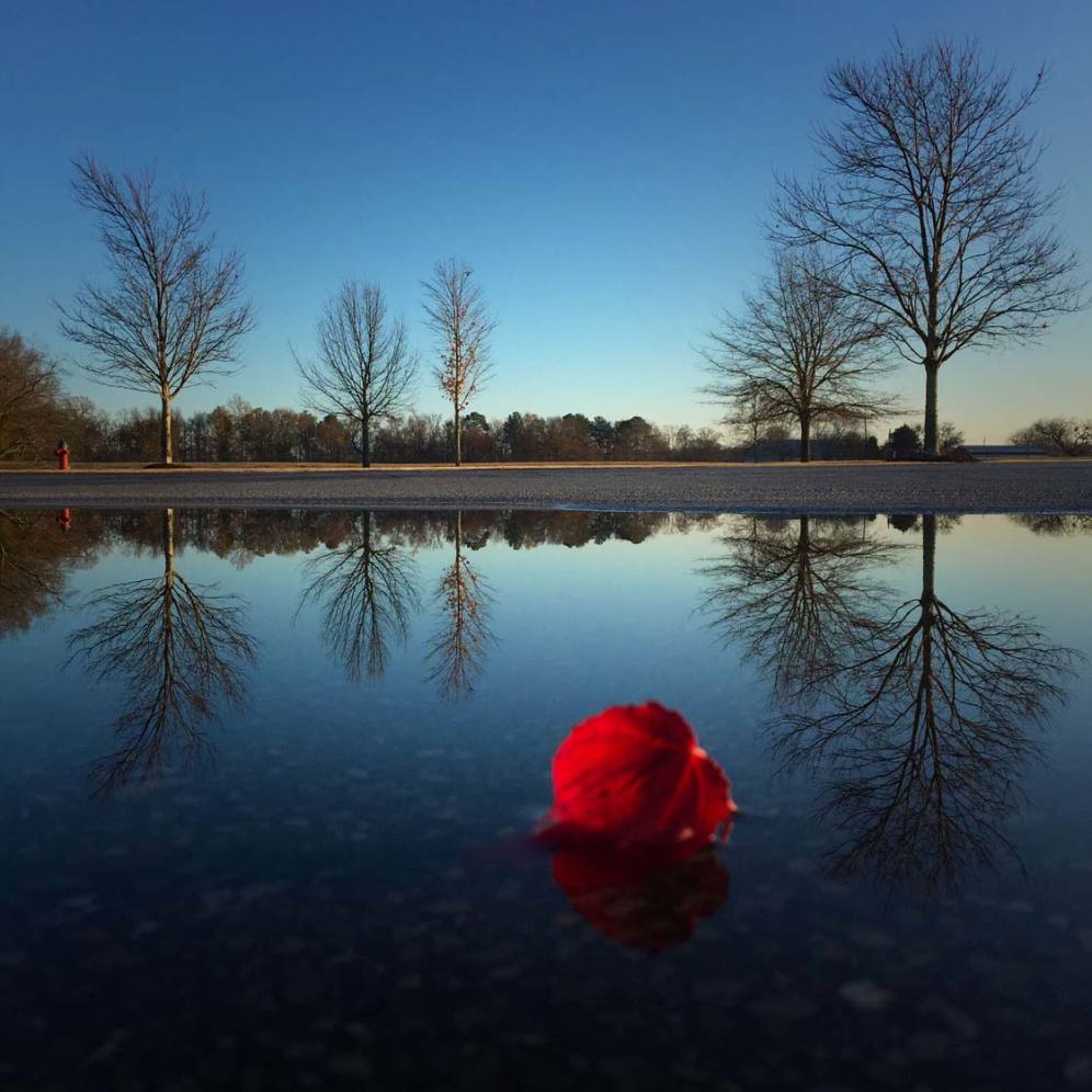 30 Great iPhone Photos Taken From Interesting Angles