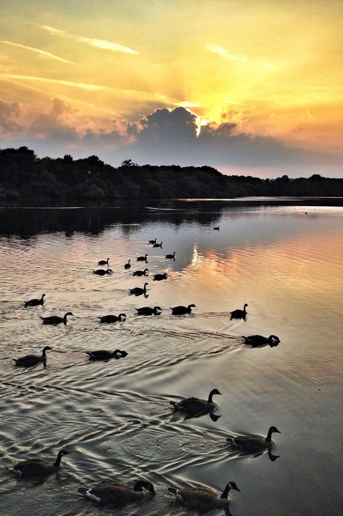 30 Stunning iPhone Photos Of Water & Reflections