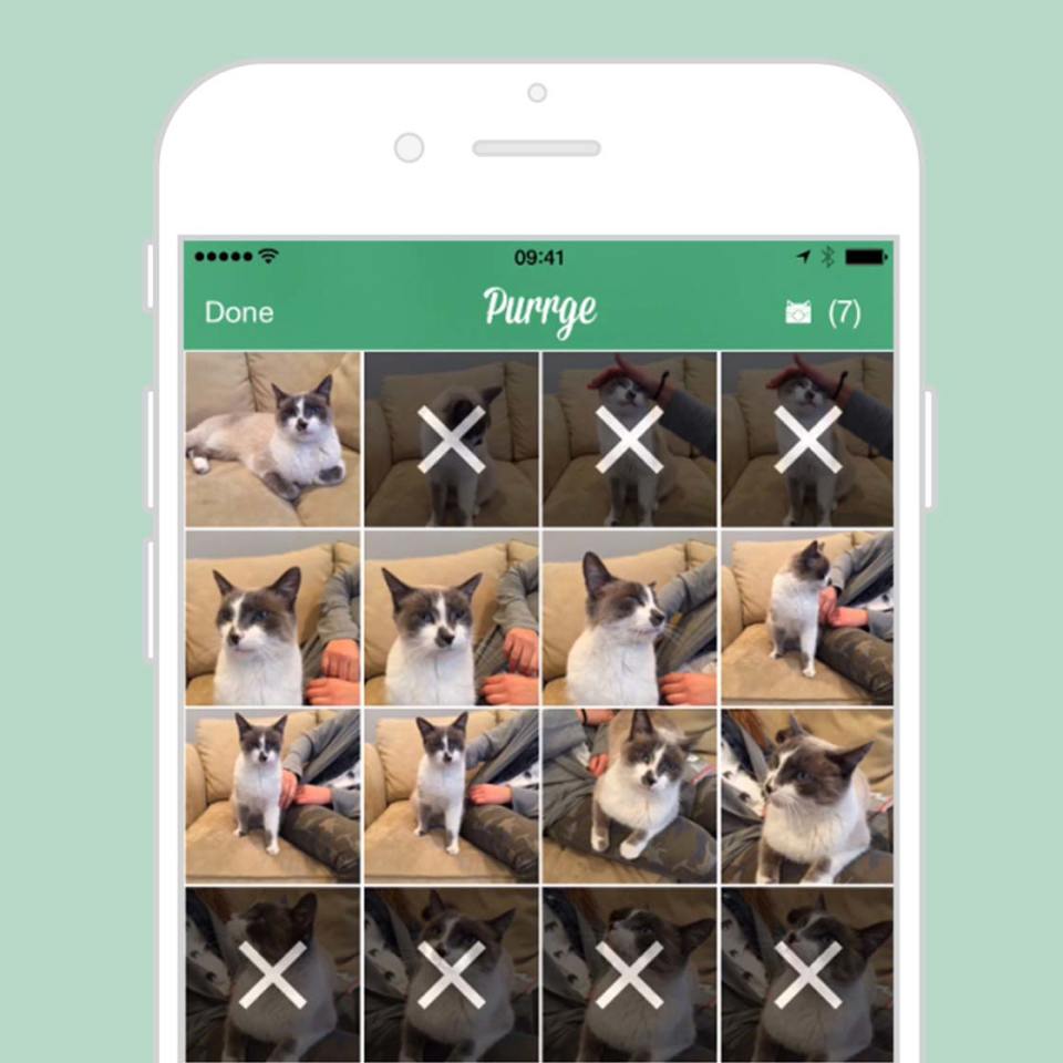 Purrge App To Quickly Deletes Your Unwanted iPhone Photos