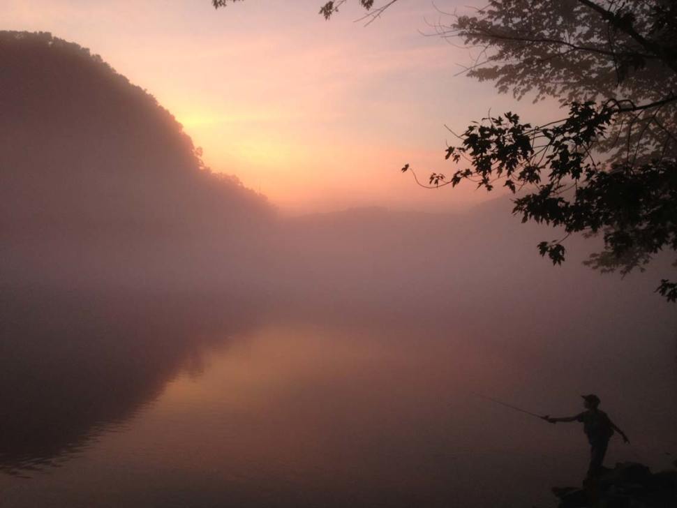 10 Tips For Taking Beautiful iPhone Photos In Mist & Fog