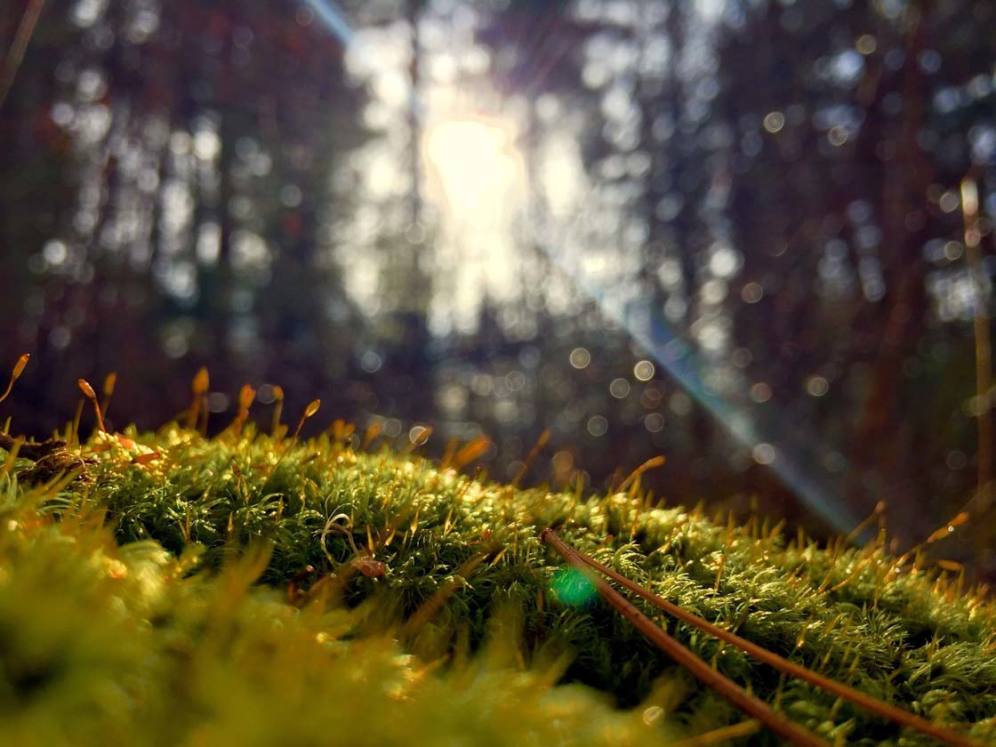 30 Great iPhone Photos Taken From Interesting Angles