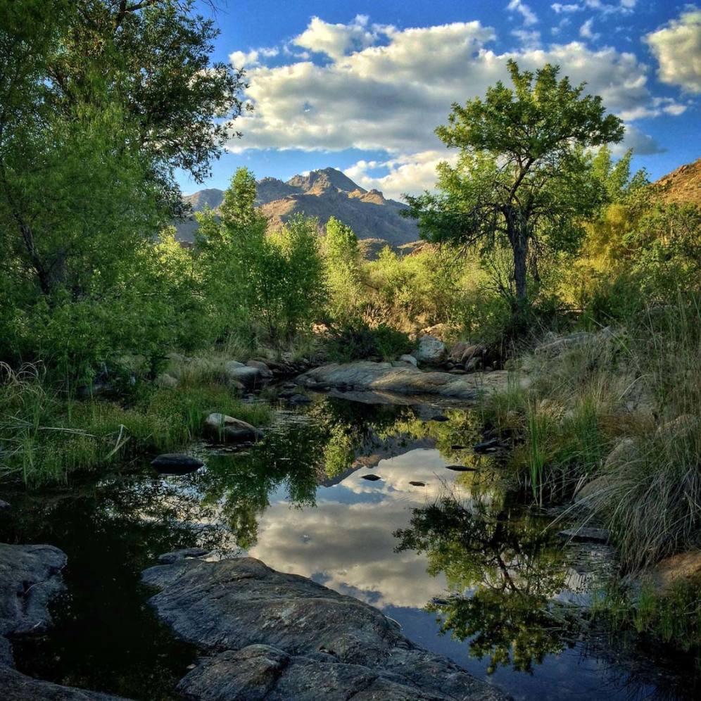 30 Incredible Landscape Photos Taken With The iPhone