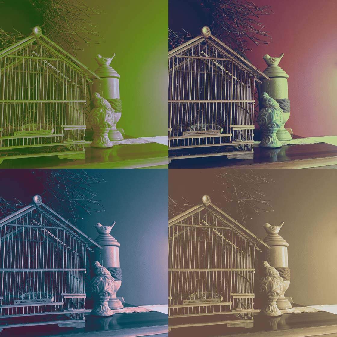New Colors App Adds Colored Filters To Your iPhone Photos