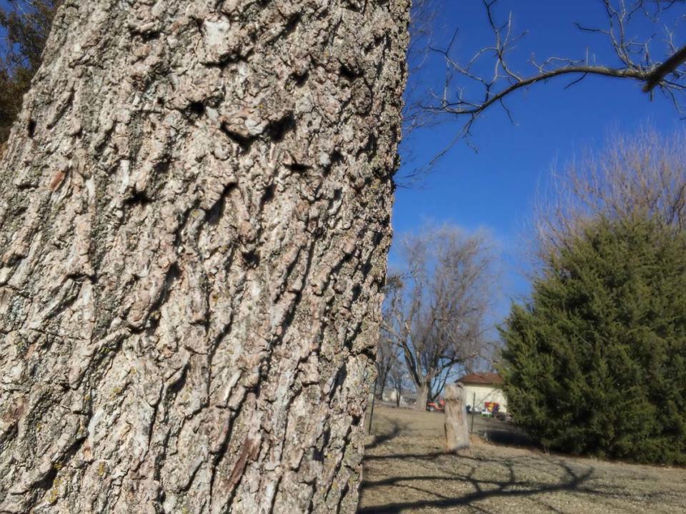 Use Stay Focused App To Control Focus In Your iPhone Photos