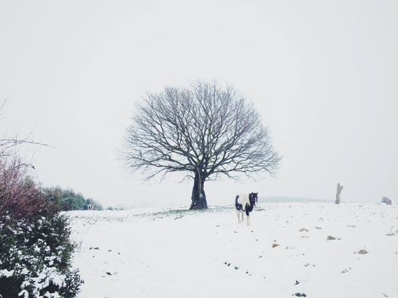 How Daniel Casson Takes Great iPhone Landscapes Photos