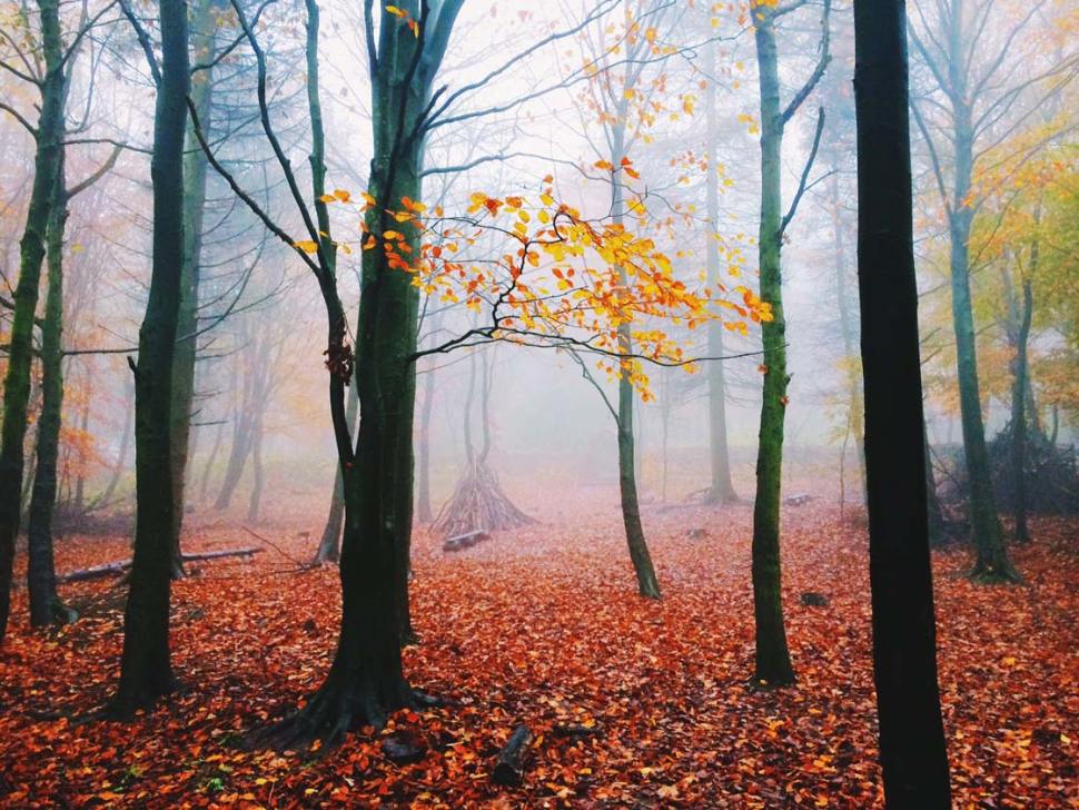 How Daniel Casson Takes Great iPhone Landscapes Photos