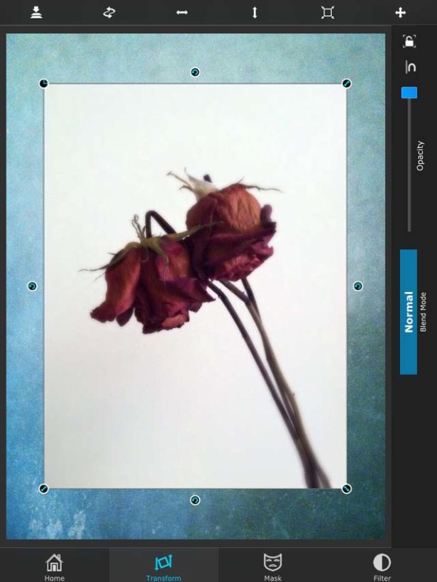 Add Backgrounds To Your iPhone Photos With Superimpose