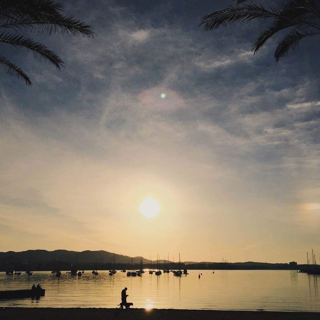 30 Incredible iPhone Photos Taken At Golden Hour