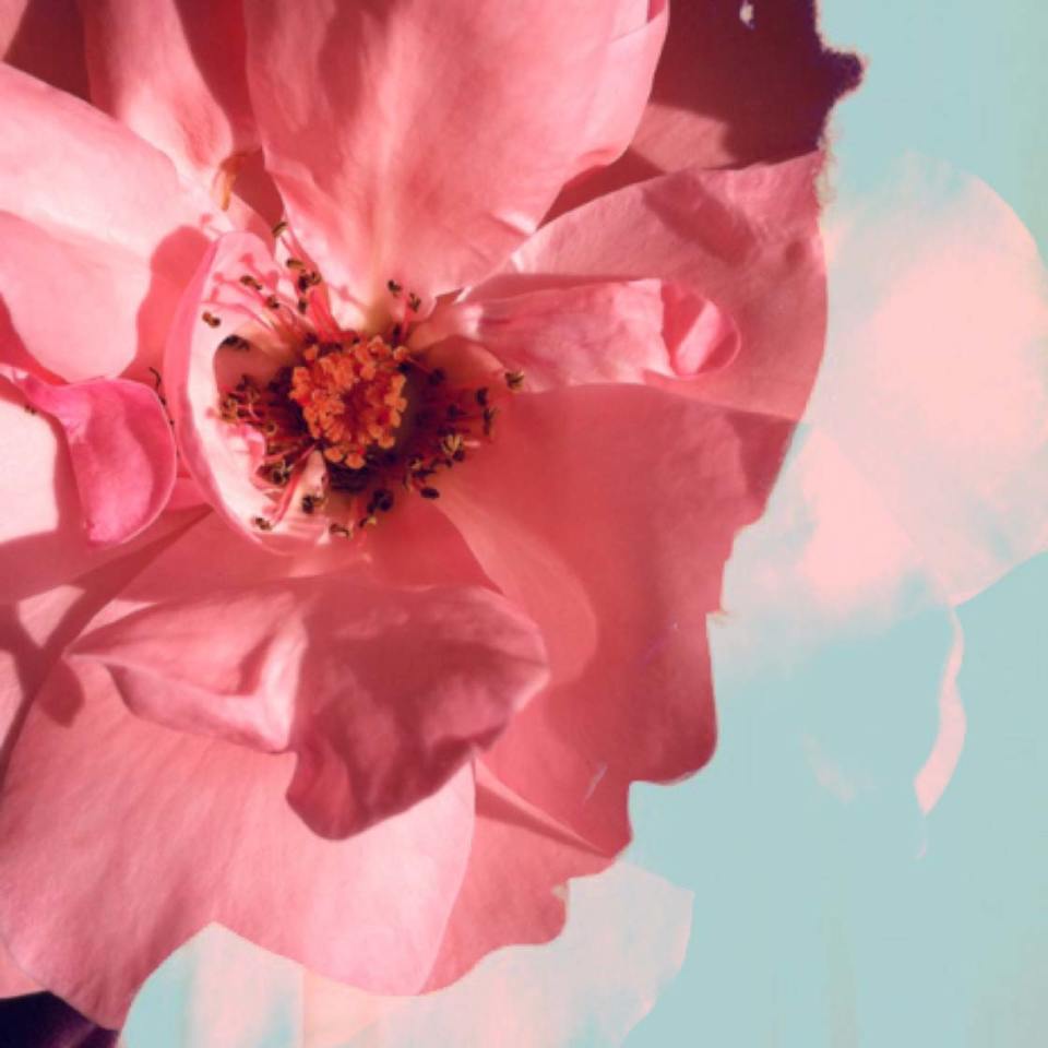 10 Ways To Create Unique Self Portrait iPhone Photos