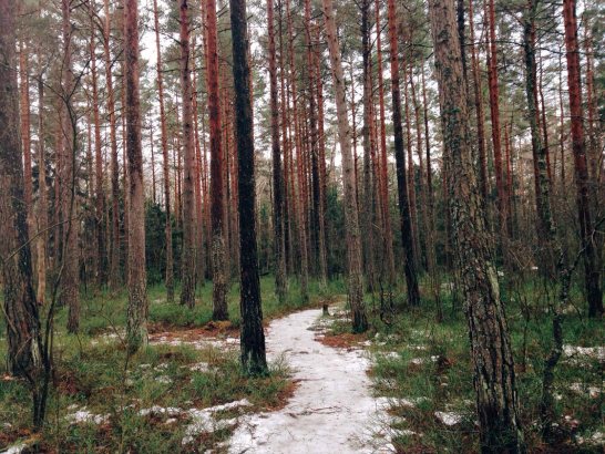 How To Use Leading Lines To Create Powerful iPhone Photos