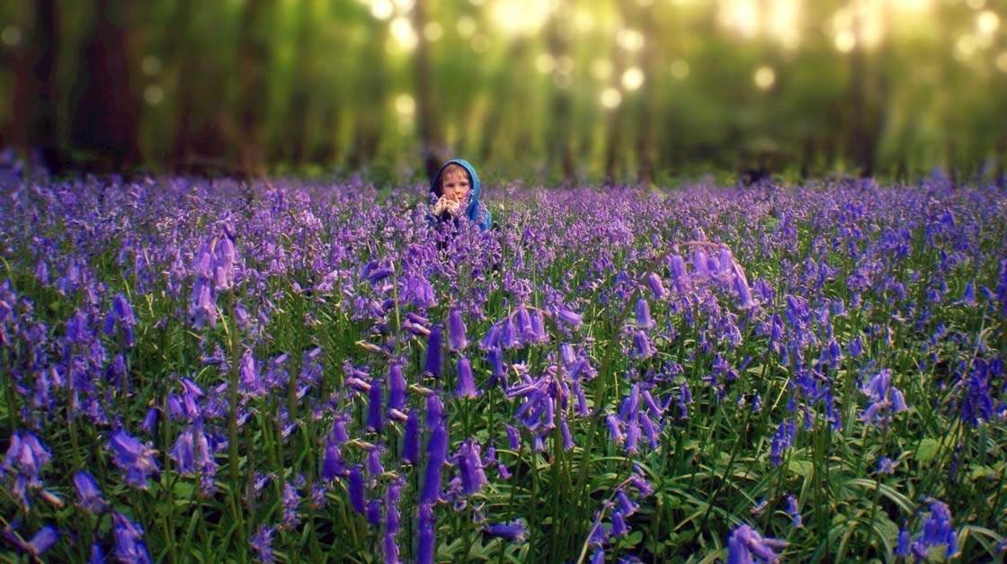 10 Ways To Build Your Confidence As An iPhone Photographer