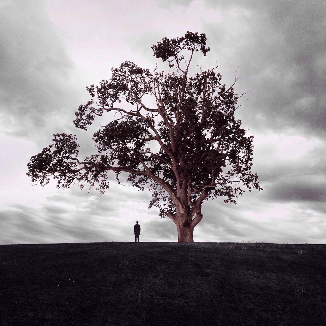 8 Ways To Create A Stronger Focal Point In Your iPhone Photos