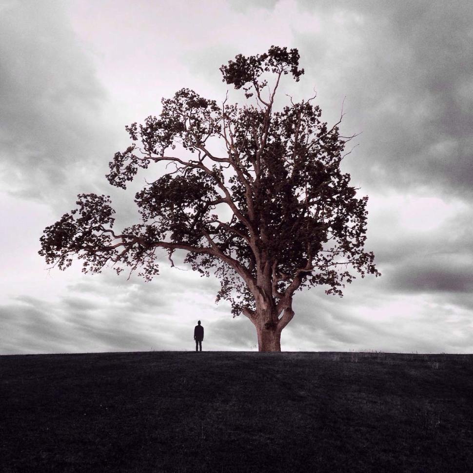8 Ways To Create A Stronger Focal Point In Your Iphone Photos