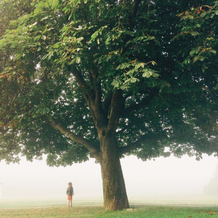 10 Tips For Taking Incredible iPhone Photos Of Trees