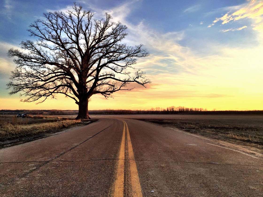 30 Incredible iPhone Photos That Use Leading Lines