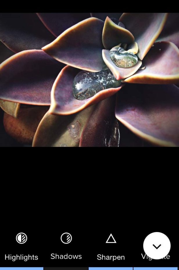 Priime App Applies Beautiful Filters To Your iPhone Photos