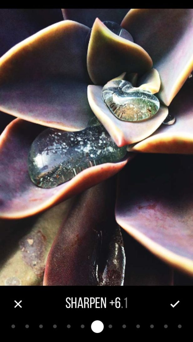 Priime App Applies Beautiful Filters To Your iPhone Photos