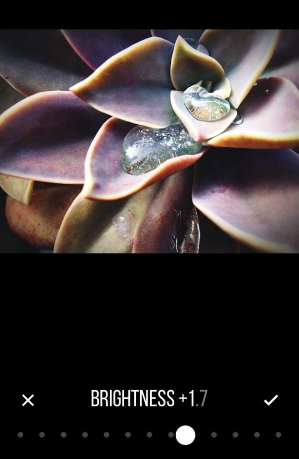 Priime App Applies Beautiful Filters To Your iPhone Photos