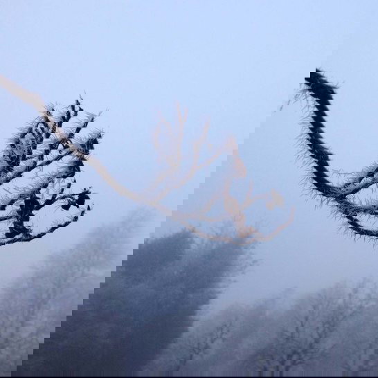 11 Tips For Taking Beautiful iPhone Photos Of Nature