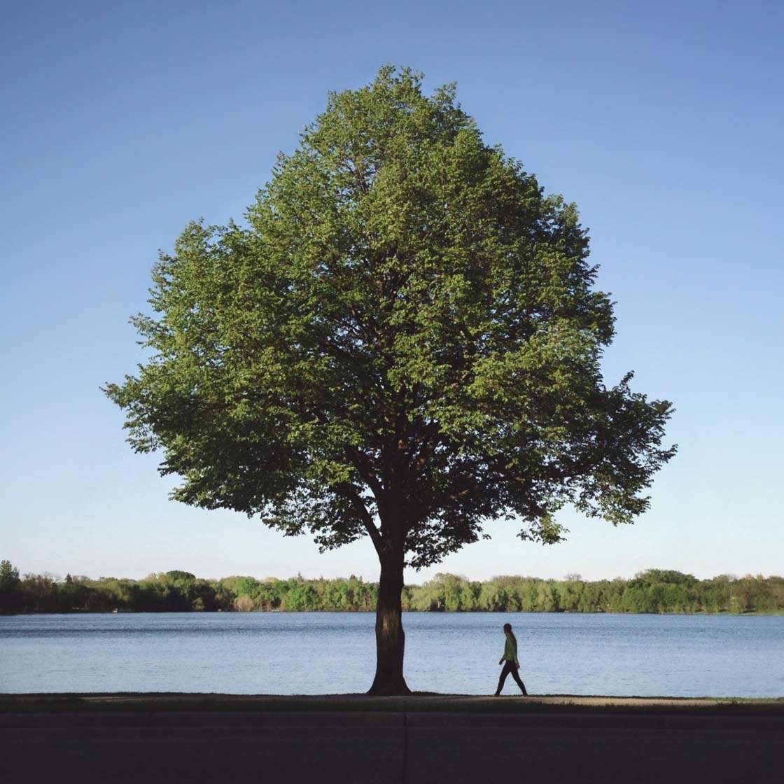 How To Get Your iPhone Photos Noticed On A Small Screen