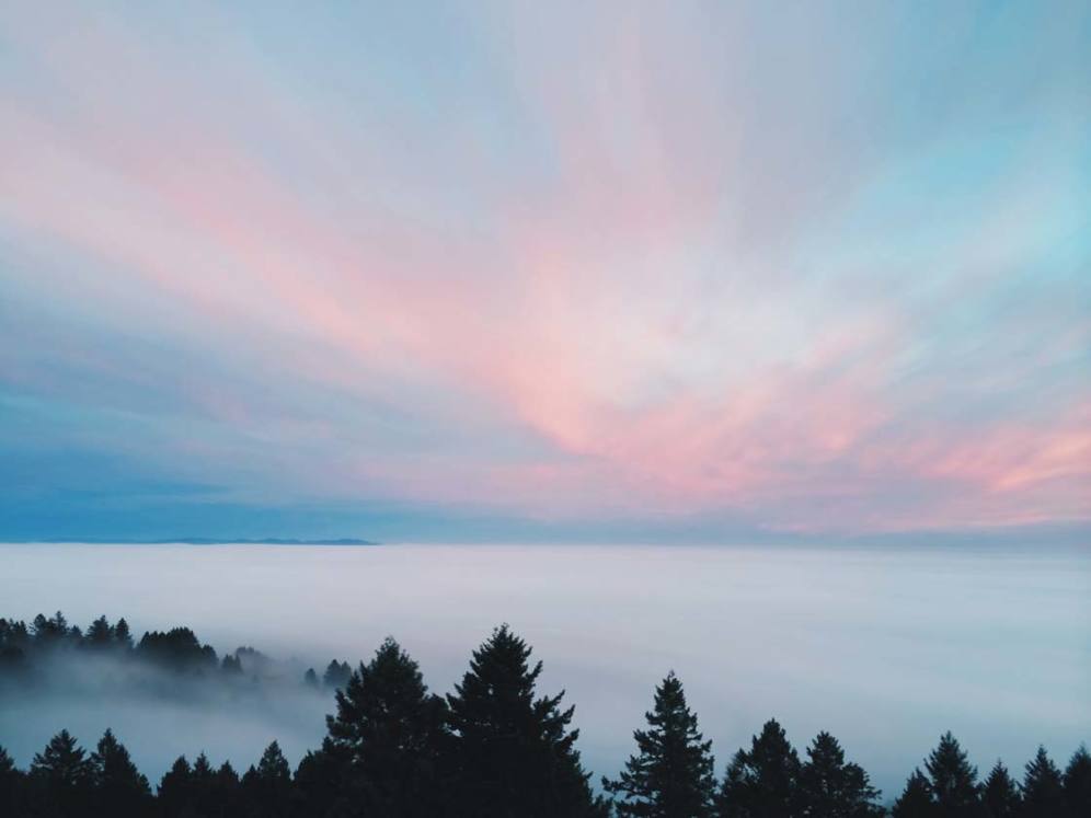 How Art Chang Developed The Priime iPhone Photo App
