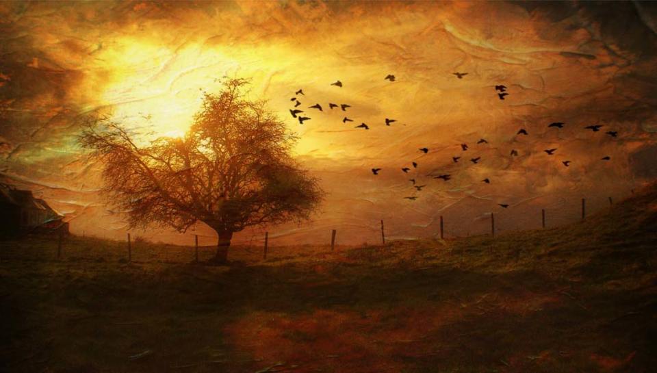 How To Capture Dramatic Skies In Your iPhone Photos