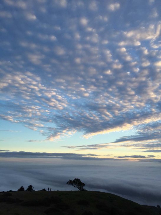 How Art Chang Developed The Priime iPhone Photo App